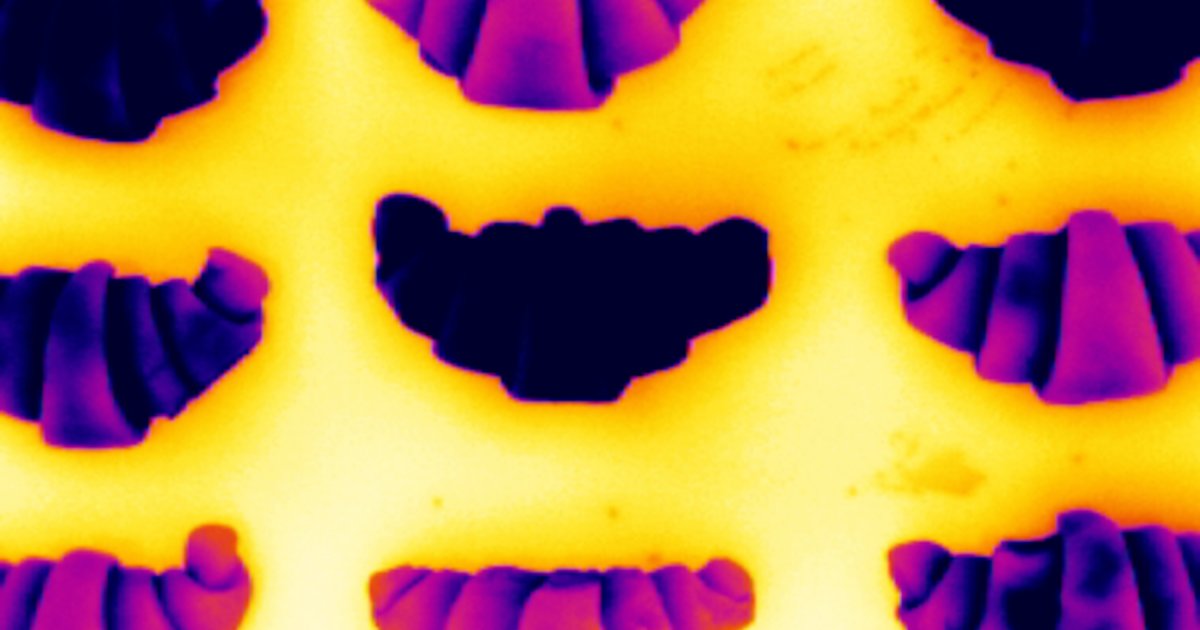 In-line Temperature Control in the food industry: the vital role of ...