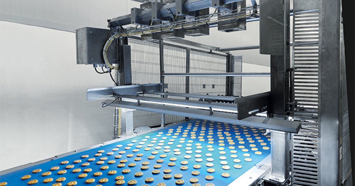 Vision inspection systems for highly variable products - Sensure srl